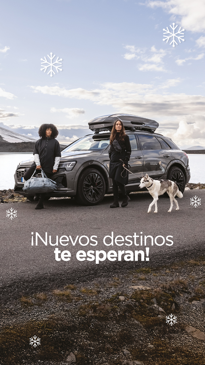 Thule Store Mall Plaza los Dominicos Chile
